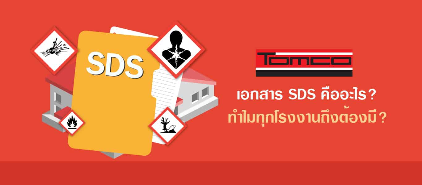 SDS sds